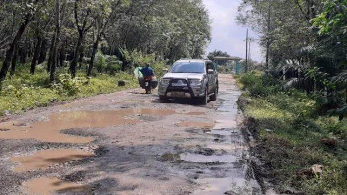Tak Kunjung Diperbaiki, Jalan Rusak di Kertosari Lampung Selatan Makin Memprihatinkan ...