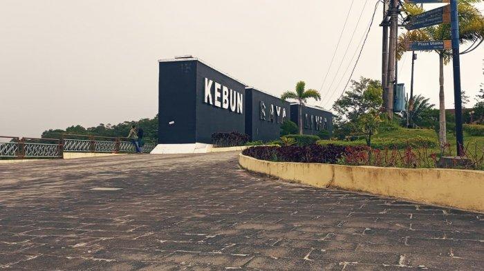 Melihat dari Dekat Tempat Wisata Kebun Raya Liwa di Lampung Barat ...