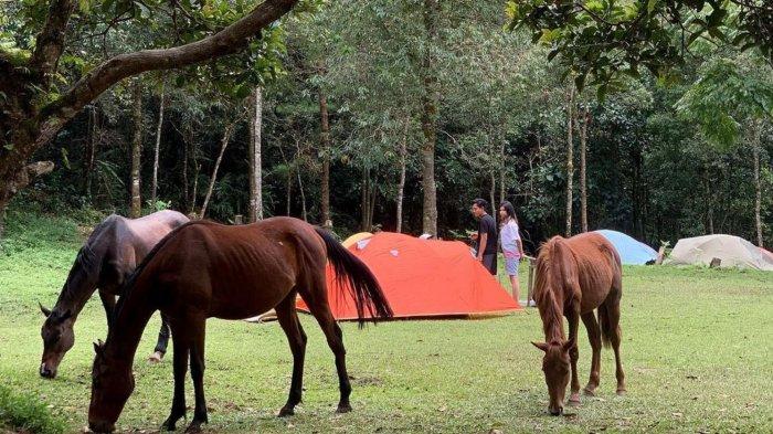 Tempat Wisata di Bandung, 10 Persiapan saat Berkunjung di Jungle Milk ...