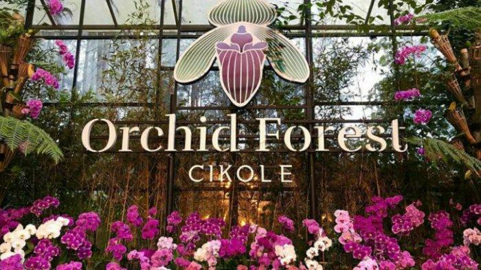 Tempat Wisata di Bandung, Taman Anggrek Terluas se-Indonesia di Orchid ...