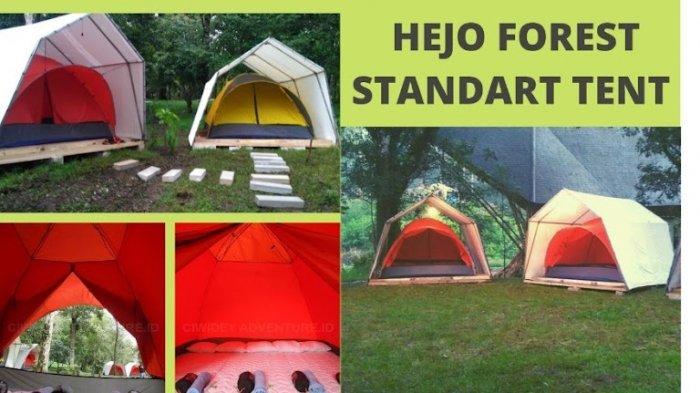 Tempat Wisata di Bandung, Serunya Kemah di Hejo Forest - Tribunlampung ...