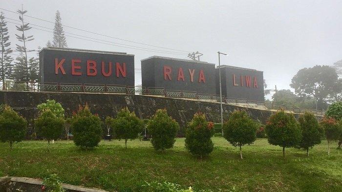 Tempat Wisata di Lampung, Kebun Raya Liwa Jadi Destinasi Paling Favorit ...