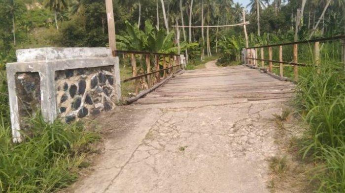 Jembatan di Desa Suwak Lampung Selatan Butuh Perbaikan Permanen - Tribunlampung.co.id