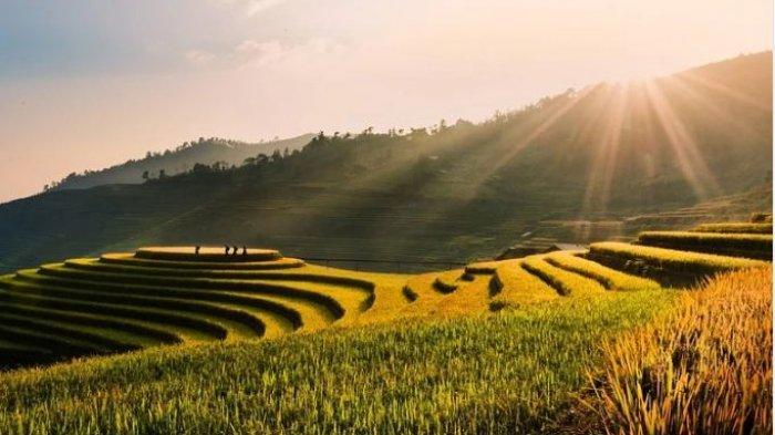 Apa Itu Agraris dan Negara Agraris - Tribunlampung.co.id