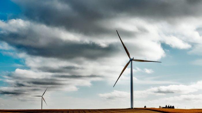 Apa Itu Angin, Kerap Mempengaruhi Kondisi Cuaca - Tribunlampung.co.id