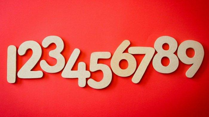 Apa Itu Bilangan dan Macam-macam Bilangan - Tribunlampung.co.id