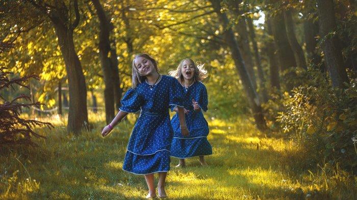 Apa Itu Imitasi - Tribunlampung.co.id