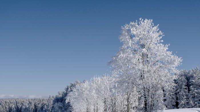 Apa Itu Musim dan Pembagian Musim di Dunia - Tribunlampung.co.id