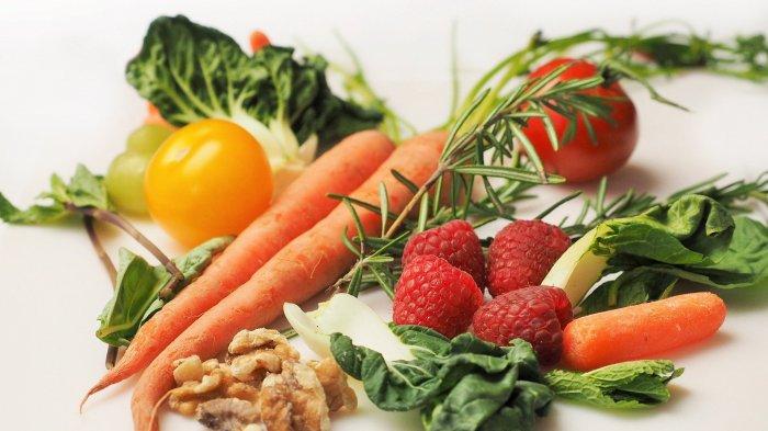 Apa Itu Serat dan Manfaat Serat untuk Tubuh - Tribunlampung.co.id