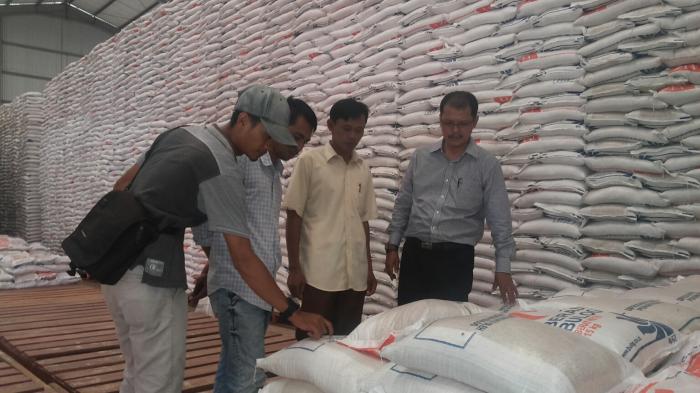 Bulog Lampung Pastikan Stok Beras Aman Hingga Lewati Ramadan dan Panen ...