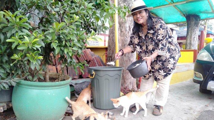 Kisah Warga Balam Rawat Kucing Jalanan Sejak 1983, Rela Jual Harta Benda Demi Beri Makan Kucing ...