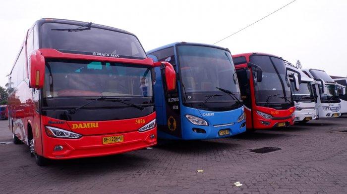 Damri Buka Rute Baru Pangkal Pinang-Lampung, Ini Tarif dan Bus yang Digunakan - Tribunlampung.co.id