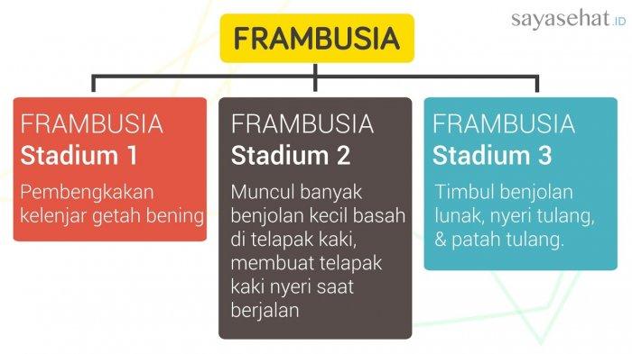 Waspada Penularan Penyakit Frambusia - Tribunlampung.co.id