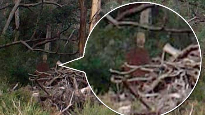 Seram, Penampakan Diduga Hantu Hadir dalam Foto Pendaki Gunung ...