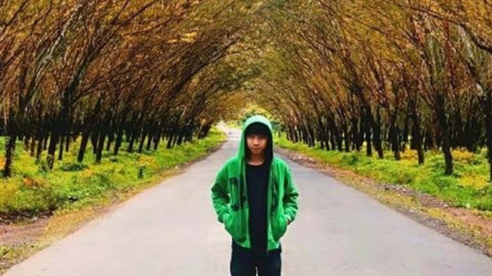 Wisata Lampung - Terowongan Pohon di Kebun Karet Trikora Sajikan ...