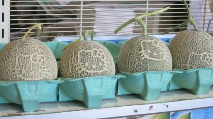 Ada Melon Hello Kitty Dijual di Jepang, Ini Harganya - Tribunlampung.co.id