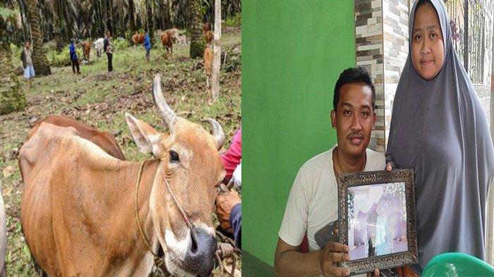 Panitia Kurban Meninggal di Bandar Lampung, Keluarga Jawab Isu ...