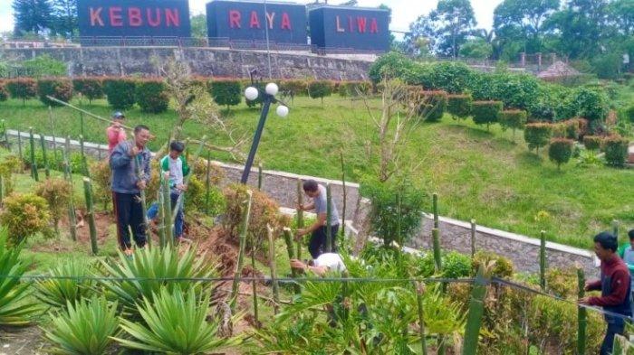 Tak Kunjungi Ditangani, UPTD KRL Lampung Barat Tancapkan Penyangga di ...