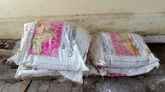 Polisi Temukan 6 Sak Obat Hama yang Dicuri Pelaku di Kebun Tebu Samping ...