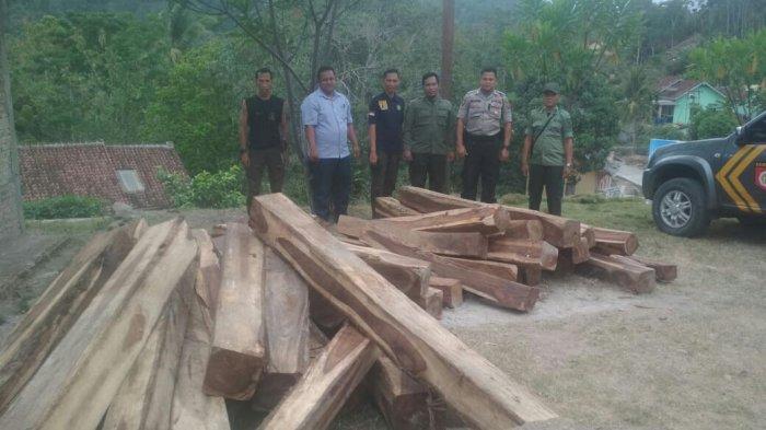 Polres Lamtim Polda Lampung Cokok Pelaku Ilegal Logging 10 Kubik Kayu