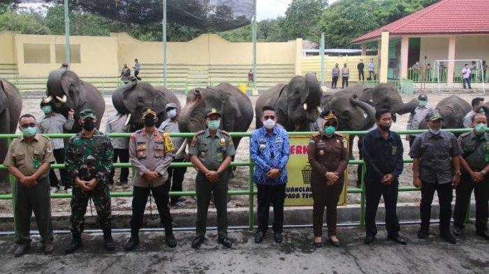Taman Nasional Way Kambas Lampung Timur Kembali Dibuka - Tribunlampung.co.id