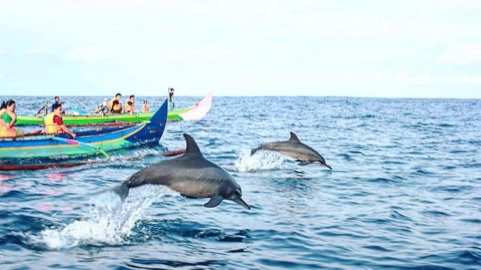 Kiluan Masuk 15 Besar Nasional Desa Wisata Nusantara - Tribunlampung.co.id