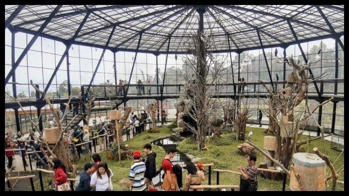 Tempat Wisata di Bandung, Mendengar Indahnya Suara Burung di Lembang ...