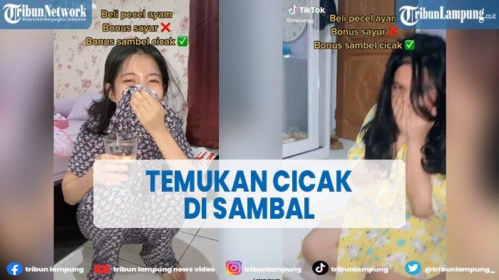 Beli Ayam Goreng di Warung, saat Dimakan Ternyata Ada Cicak di Sambalnya - Tribunlampung.co.id