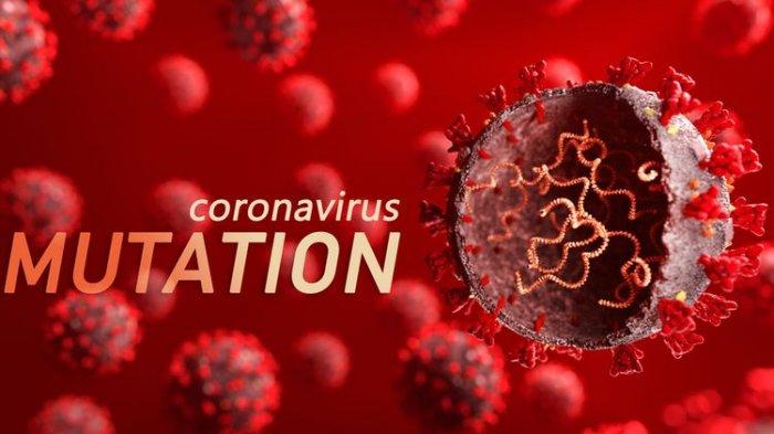 Apa Itu Virus N439k, Varian Baru Virus Corona Yang Lebih Menular ...