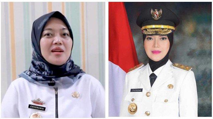 10 Nama Caleg DPR RI Dapil Lampung 2 Suara Terbanyak Versi Real Count KPU - Tribunlampung.co.id