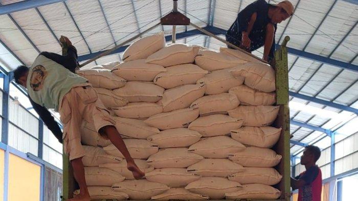 Bulog Punya Persediaan Beras 350.000 Ton, Jamin Harga dan Stok Aman - Tribunlombok.com