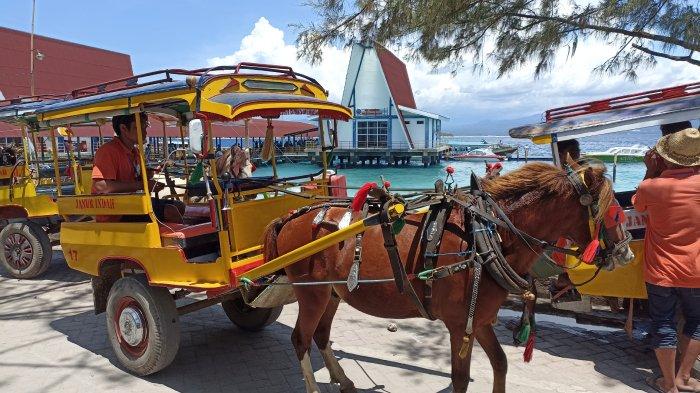 Cidomo Gili Trawangan Mulai Ditinggalkan Wisatawan karena Sepeda dan Motor Listrik Menjamur ...