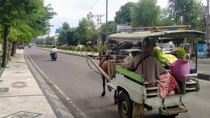 300 Cidomo Beroperasi di Kota Mataram, Dinas Perhubungan Akan Atur ...