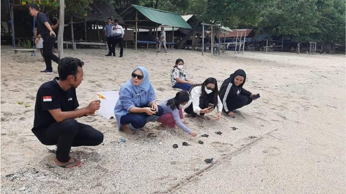 Festival Konservasi Pesisir Akan Digelar di Pantai Nipah, Upaya Pemuda ...