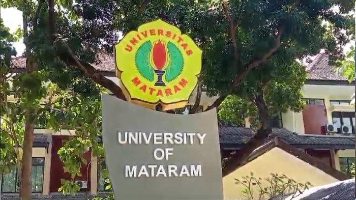 Berita PDN Terbaru Hari Ini - Tribunlombok.com