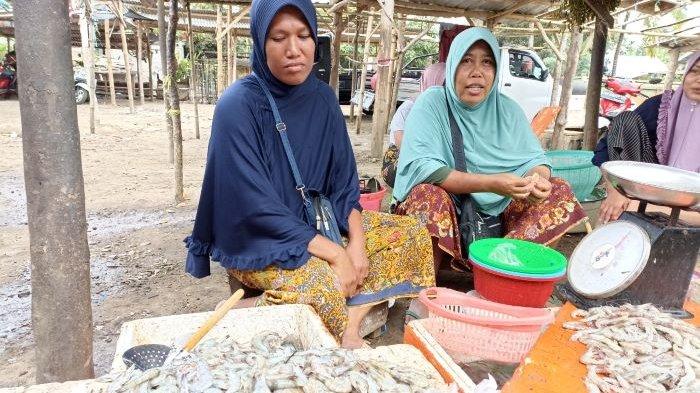 Imbas Kenaikan Harga BBM, Harga Ikan di Lombok Tengah Melambung - Tribunlombok.com