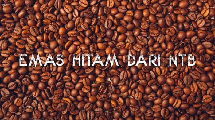 Kopi NTB Terpinggirkan di Kampung Sendiri - Tribunlombok.com