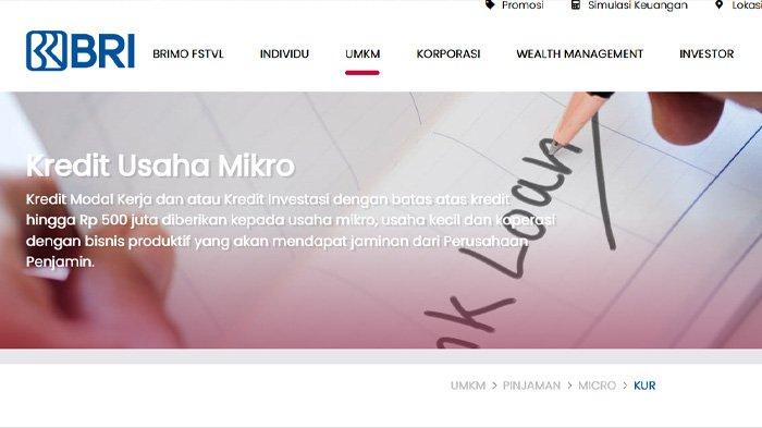 KUR BRI Januari 2025: Berikut Syarat, Cara Pengajuan, Dokumen, dan ...