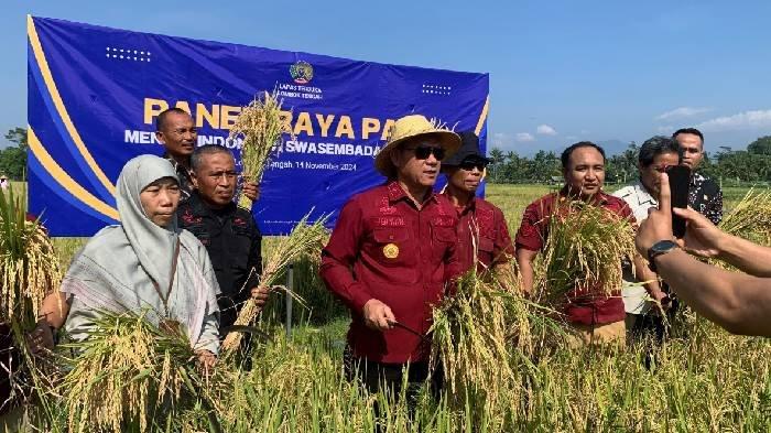 Panen Raya Padi, Lapas Terbuka Lombok Tengah Siap Wujudkan Indonesia Swasembada Pangan ...
