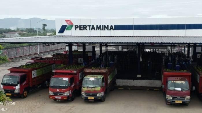 Pertamina Patra Niaga Pastikan Seluruh SPBE di NTB Sesuai Standar - Tribunlombok.com