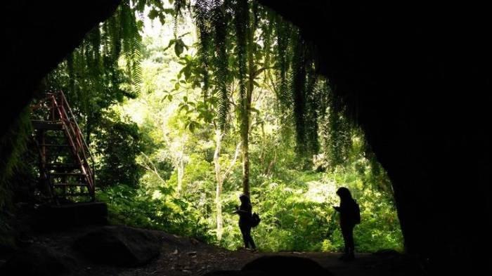 Taman Hutan Raya Nuraksa: Wisata Alam yang Kaya Flora dan Fauna di NTB ...