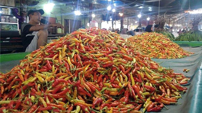 Dampak Cuaca Ekstrem, Harga Cabai di Mataram Meroket hingga Rp90.000 Per Kg - Tribunlombok.com