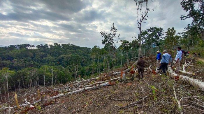 Hutan Gundul, 11 Kecamatan di Kabupaten Bima Terancam Kekeringan ...