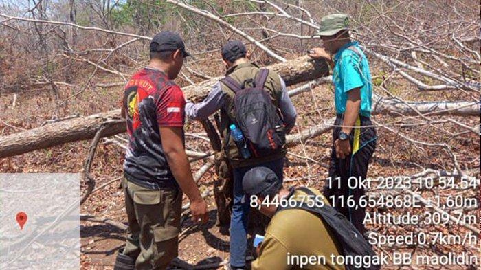 Dinas LHK NTB Tuntaskan Penyidikan Kasus Pembalakan Liar Hutan Lembah ...