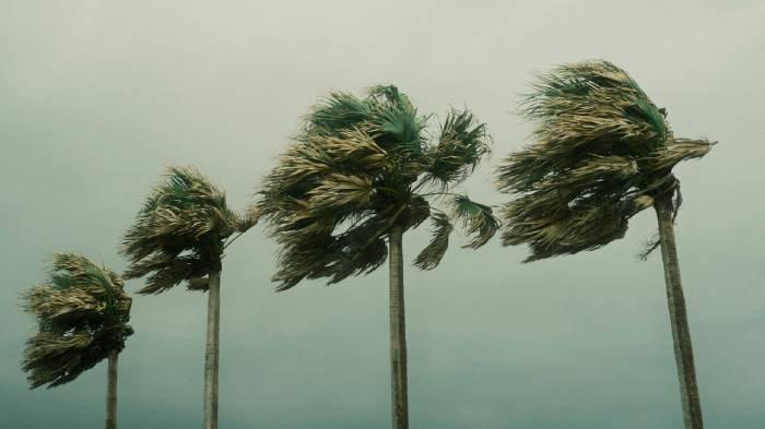 Cuaca NTB Besok Jumat 31 Januari 2025: Peringatan Dini BMKG Angin ...