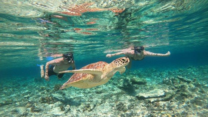 5 Spot Snorkeling Terbaik di Lombok, Keindahan Bawah Laut yang Memikat ...