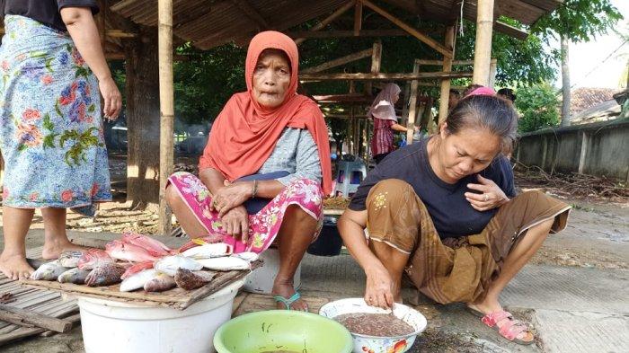 Mengenal Jenis Nyale, Cacing Laut Favorit Masyarakat Suku Sasak Lombok ...