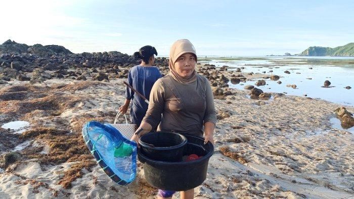Mengenal Nyale, Cacing Laut yang Sangat Diburu Masyarakat Lombok ...