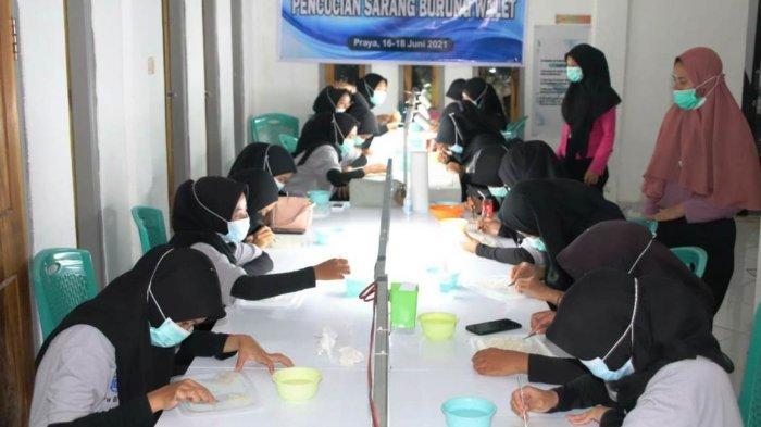 Usaha Pencucian Sarang Walet di NTB Patut Dicoba, Ini Keuntungannya ...