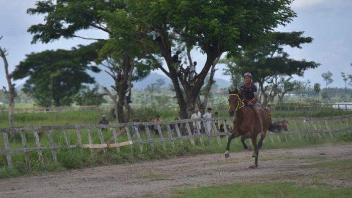 Wisata Lombok, Menengok Arena Pacuan Kuda Sasake Sembari Menikmati ...
